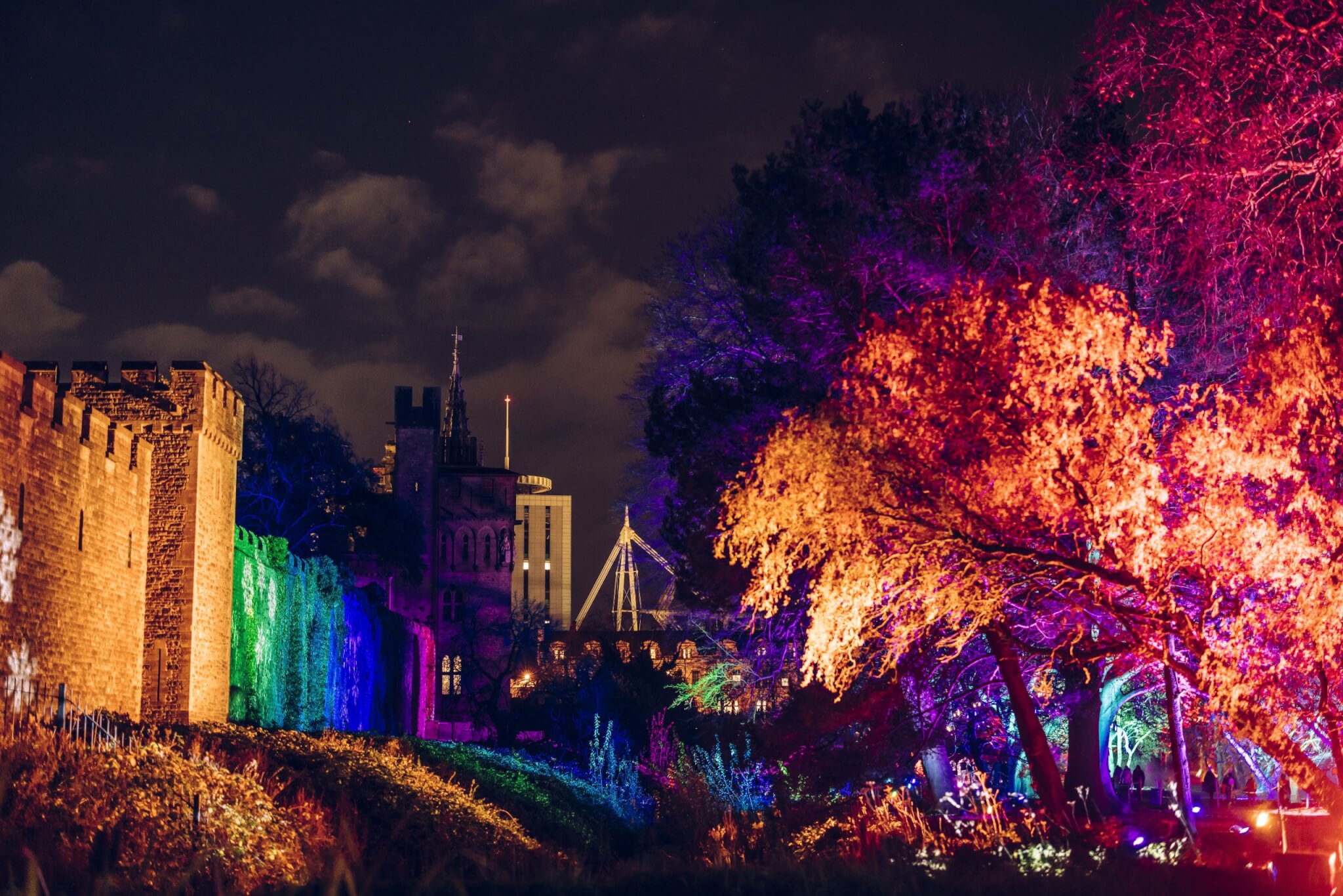 CHRISTMAS AT BUTE PARK - From the Fields